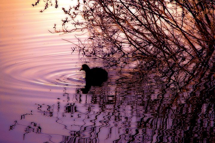 Scenic Treasures, Alan Lucio Photography - Photography