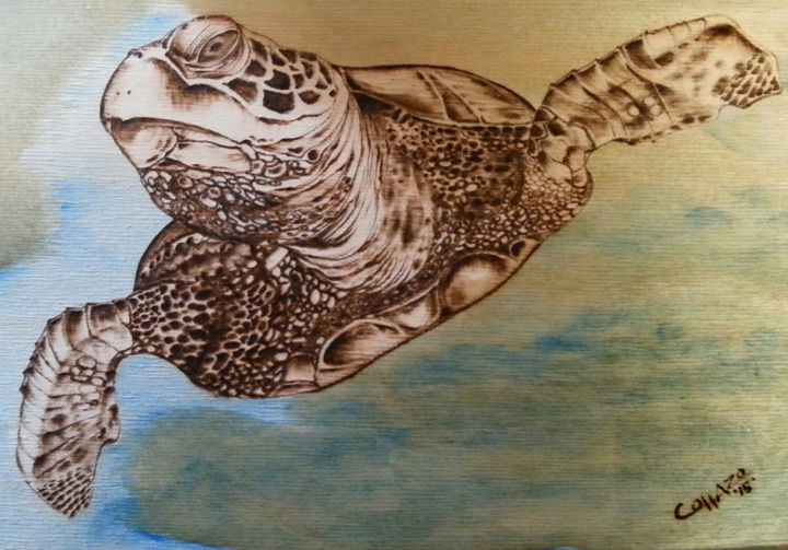 Mother Sea Turtle - EC Pyro Art - Paintings & Prints, Animals, Birds ...