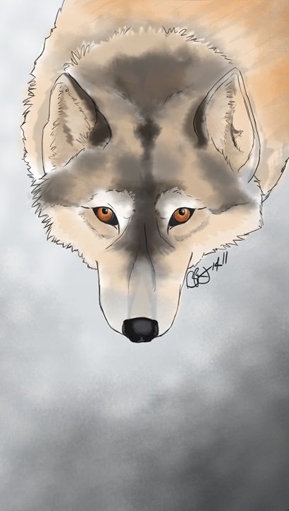 WinterWolf - Beth Rhodes Art - Digital Art & AI, Animals, Birds, & Fish ...