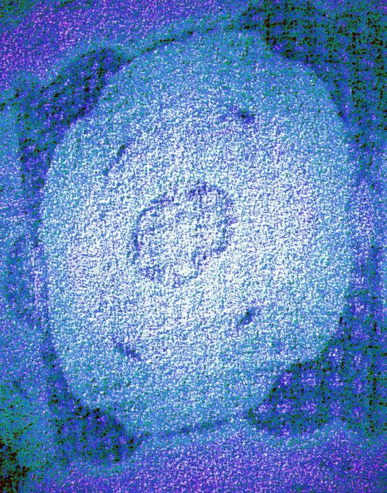 CRuo - Sexy Jets - Photography, Animals, Birds, & Fish, Rabbits - ArtPal