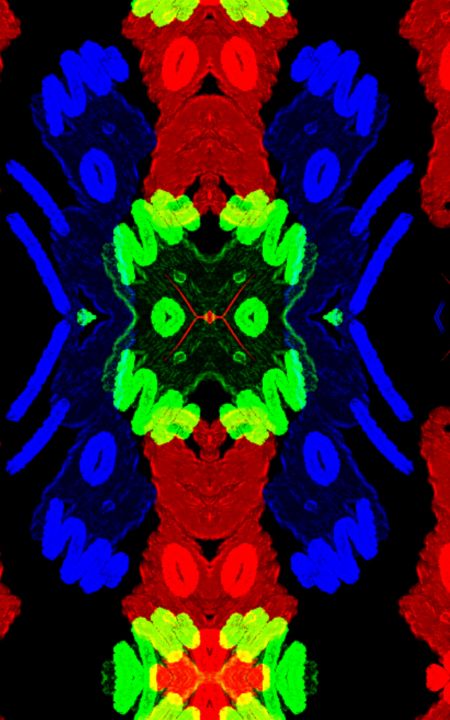 Gfjo - Sexy Jets - Photography, Animals, Birds, & Fish, Rabbits - ArtPal