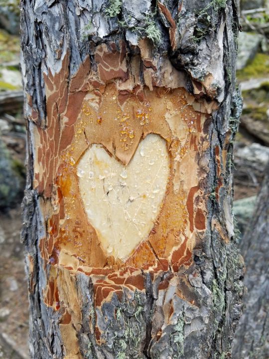 "Love Has No Limits..." - All New "Gilby's Foundation for the Arts ...