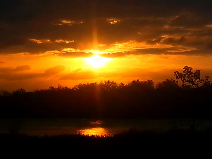 A Walk Through Nature - Photography