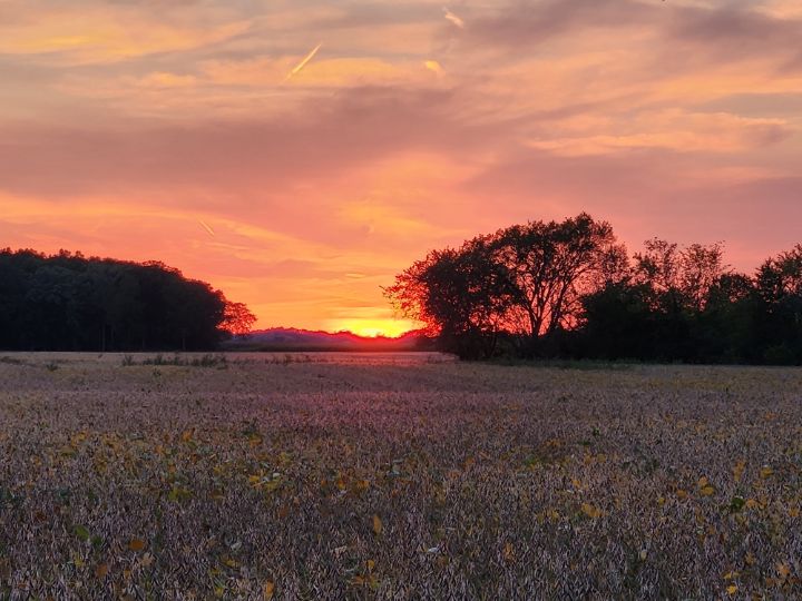 Sunset field - Aim2pleasephotography - Photography, Landscapes & Nature ...