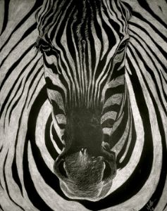 My Journey - Drawings & Illustration, Paintings & Prints