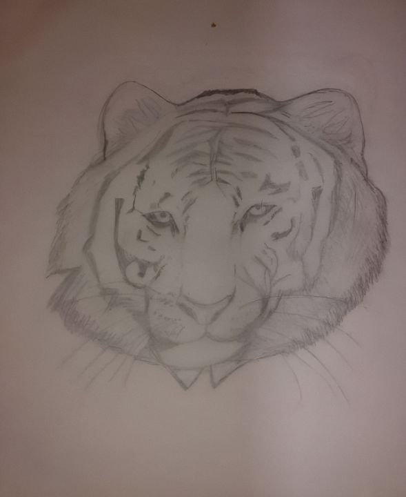 Snow Tiger - DTrigo - Drawings & Illustration, Animals, Birds, & Fish ...