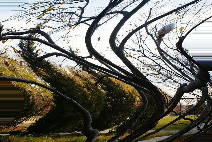 Fall - Gregory Patrick Lafferty - Photography, Abstract, Landscape - ArtPal