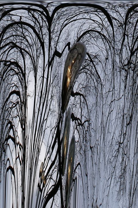 Blooming Branch Lighting - Gregory Patrick Lafferty - Photography ...