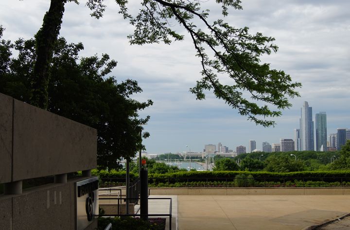 Lakefront Branches - Gregory Patrick Lafferty - Photography, Landscapes ...