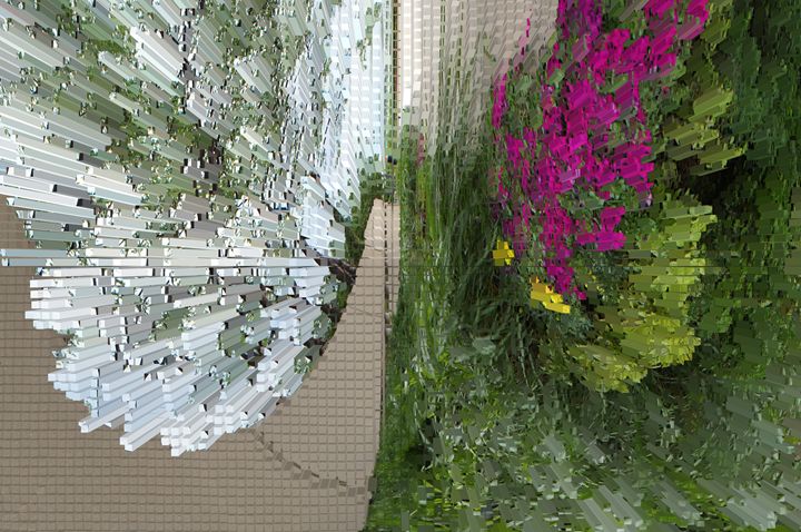 The Butterfly Of Winter And Summer - Gregory Patrick Lafferty ...