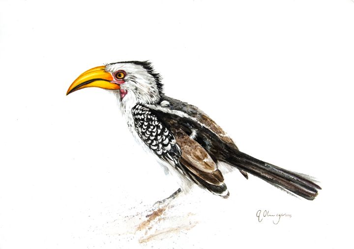 Andre Olwage - Paintings & Prints