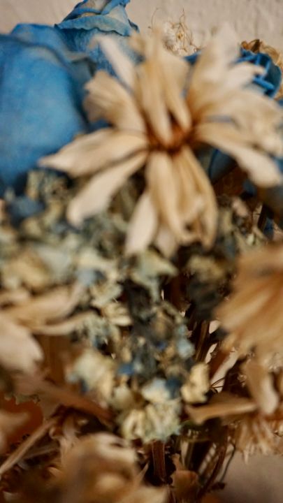 Dried Blue - Nature from Renata - Photography, Flowers, Plants, & Trees ...