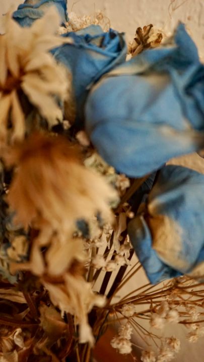 Dried Blue 2 - Nature from Renata - Photography, Flowers, Plants ...