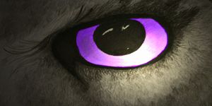 Violet Vision Studio - Drawings & Illustration