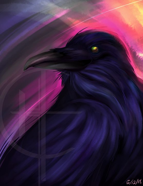 Ravens eye - Hawknestdesigns - Drawings & Illustration, Animals, Birds ...
