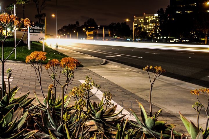 Justin Davis - Photography