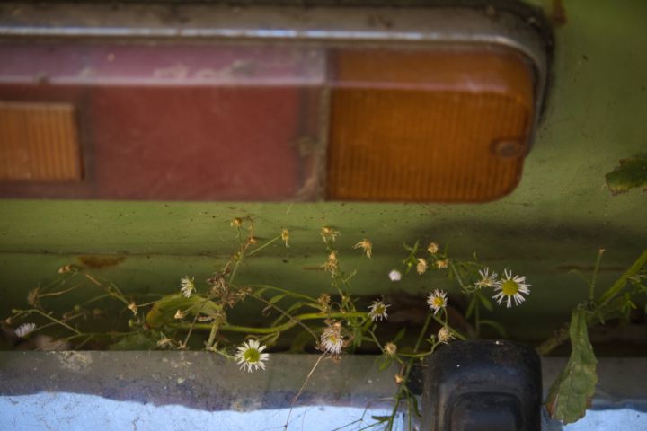 old green rusty car - AchtungStudio - Photography, Vehicles ...