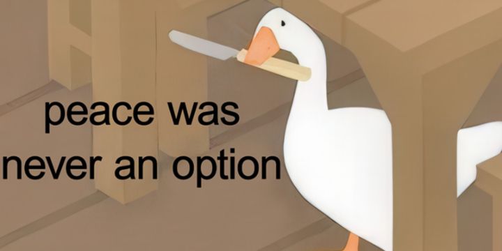 "peace was never an option" goose - wildpawsshop - Drawings ...