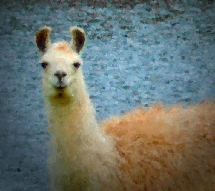 Water Llama - Trulas Treasures - Paintings & Prints, Animals, Birds ...