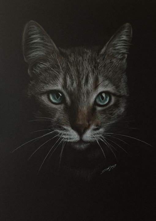 Gray cat - Evgen Karpenko - Drawings & Illustration, Animals, Birds ...
