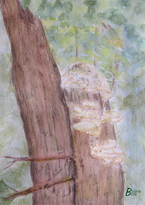 Fungus Tree - Blgh Studios - Paintings & Prints, Flowers, Plants ...