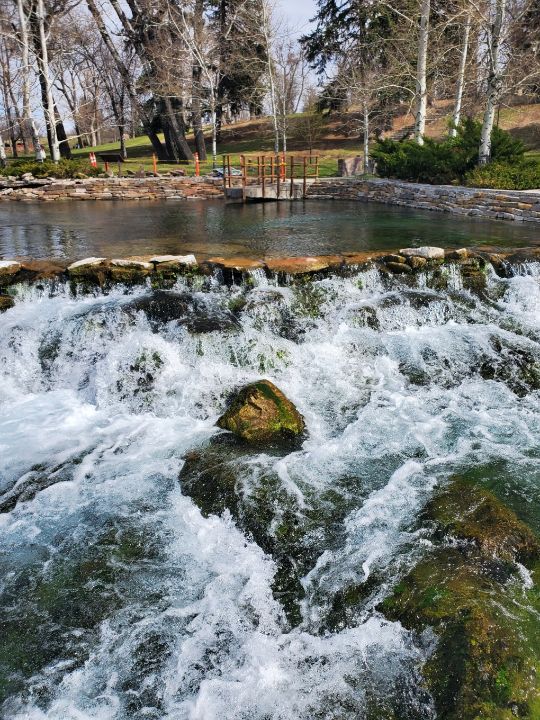 Barbara - Photography