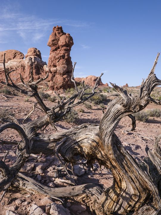 Harsh Desert - Roy Breslawski Nature Photography - Photography ...