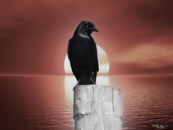 Bird on a Post - M.H. Braswell Photographs - Photography, Animals ...