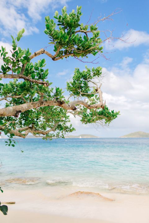 Salomon Bay Beach - Caitlin Page - Photography, Landscapes & Nature ...