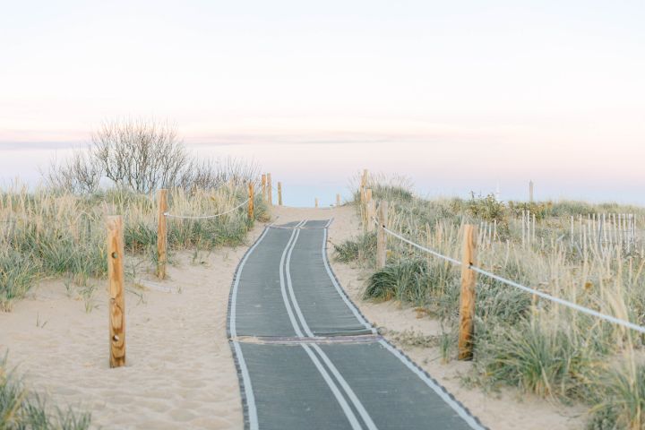 Plum Island Path - Caitlin Page - Photography, Landscapes & Nature ...