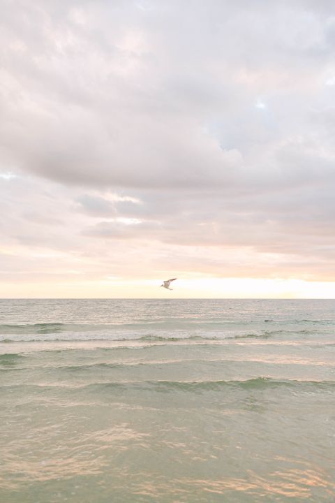 Florida Sunset - Caitlin Page - Photography, Landscapes & Nature, Beach ...