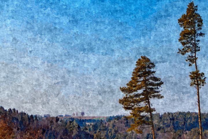 Windswept pine - FotoZooLee - Digital Art, Landscapes & Nature, Forests ...