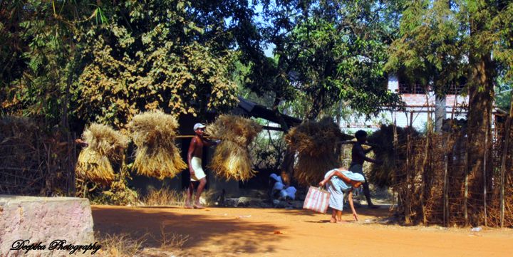 Native American Village Life