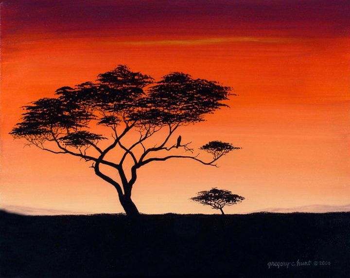 Acacia tenant - Greg Hunt Paintings - Paintings & Prints, Landscapes ...