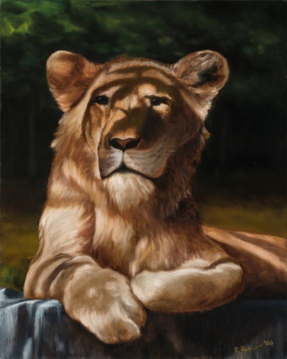Kuma the Lioness - Randy Robinson Art - Paintings & Prints, Animals ...