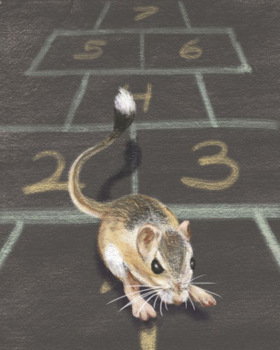 Hopscotch - Warm Light - Starfruit Sky - Digital Art, Animals, Birds ...