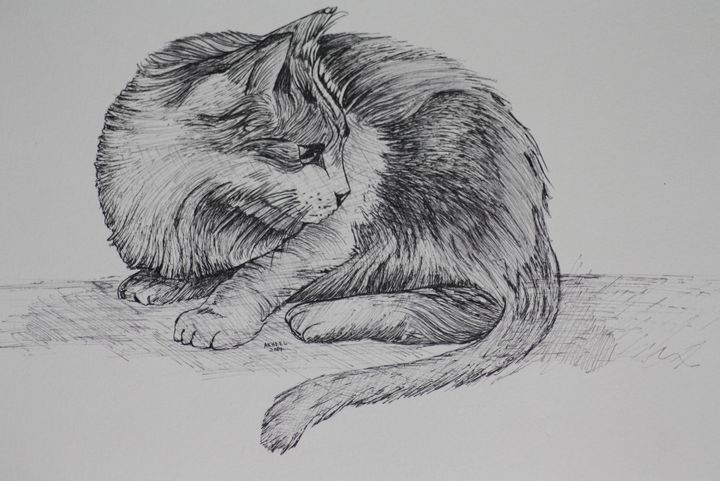 Cat life size(pen and ink) - syed akheel art - Drawings & Illustration ...