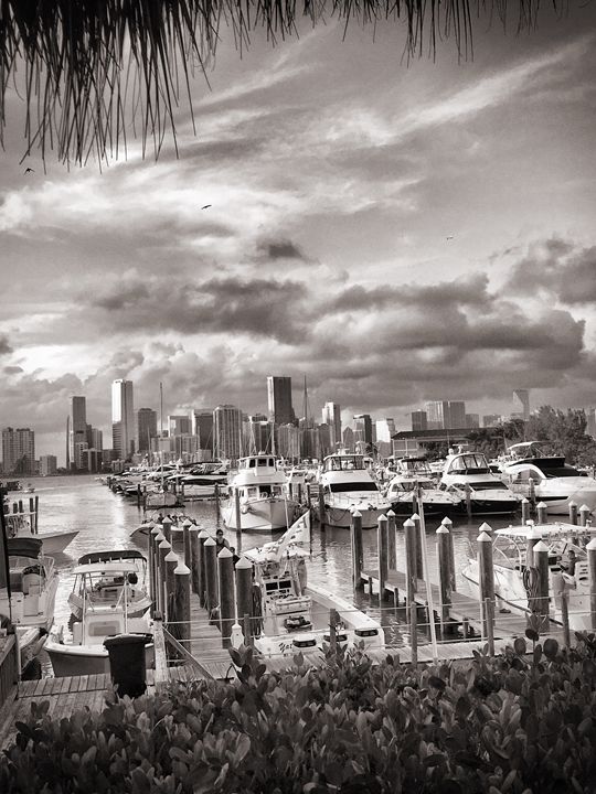 Miami - 1 - Andrew Sphar - Photography, Places & Travel, United States ...
