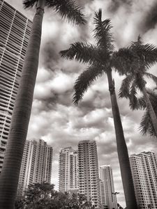Andrew Sphar - Photography