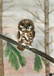 Triptified - Drawings & Illustration, Paintings & Prints