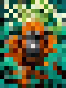 Orangutan Animal In Garden - Vision Art - Digital Art & AI, Animals ...