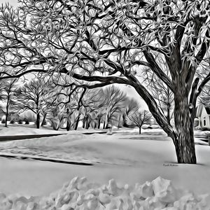 Frances Andersen - Digital Art & AI