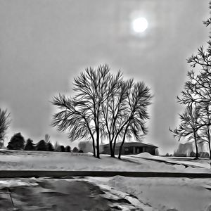 Frances Andersen - Digital Art & AI