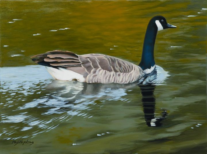 Canadian Goose - philhopkinsfineart - Paintings & Prints, Animals ...