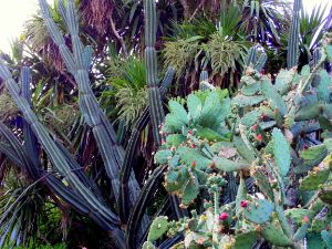 BranaghBel Art - Photography, Digital Art