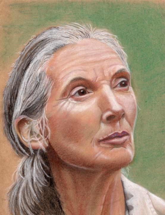 Jane Goodall - Art by Kari Schwinden Soller - Drawings & Illustration ...