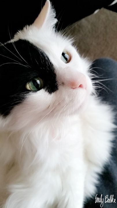 Emily Balke - Photography