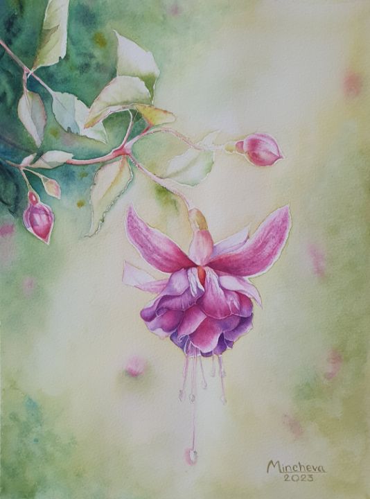 Watercolor fuchsia flower - Veneta Mincheva - Art - Paintings & Prints ...