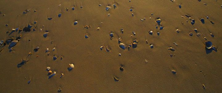 Fish Eye of Shells - Adi Soozin - Photography, Landscapes & Nature ...