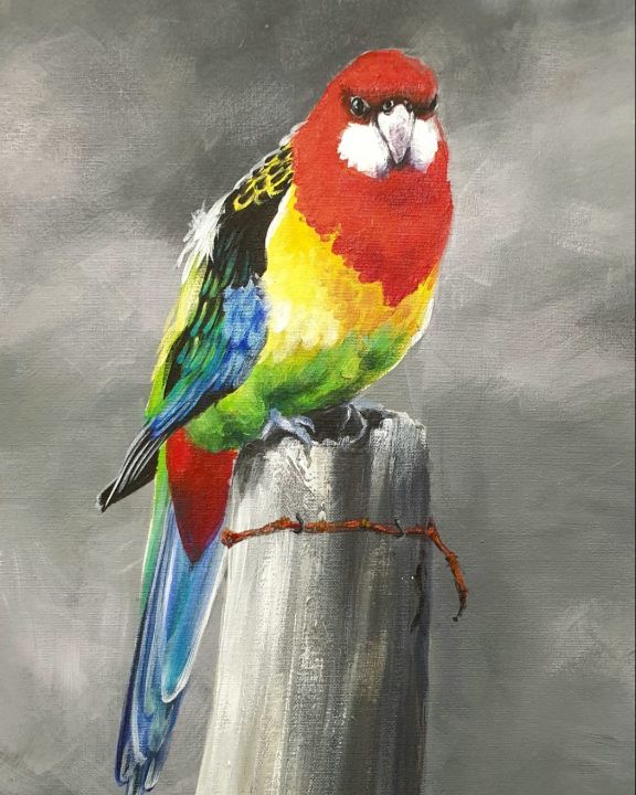 Eastern Rosella - ArtOpal - Paintings & Prints, Animals, Birds, & Fish ...